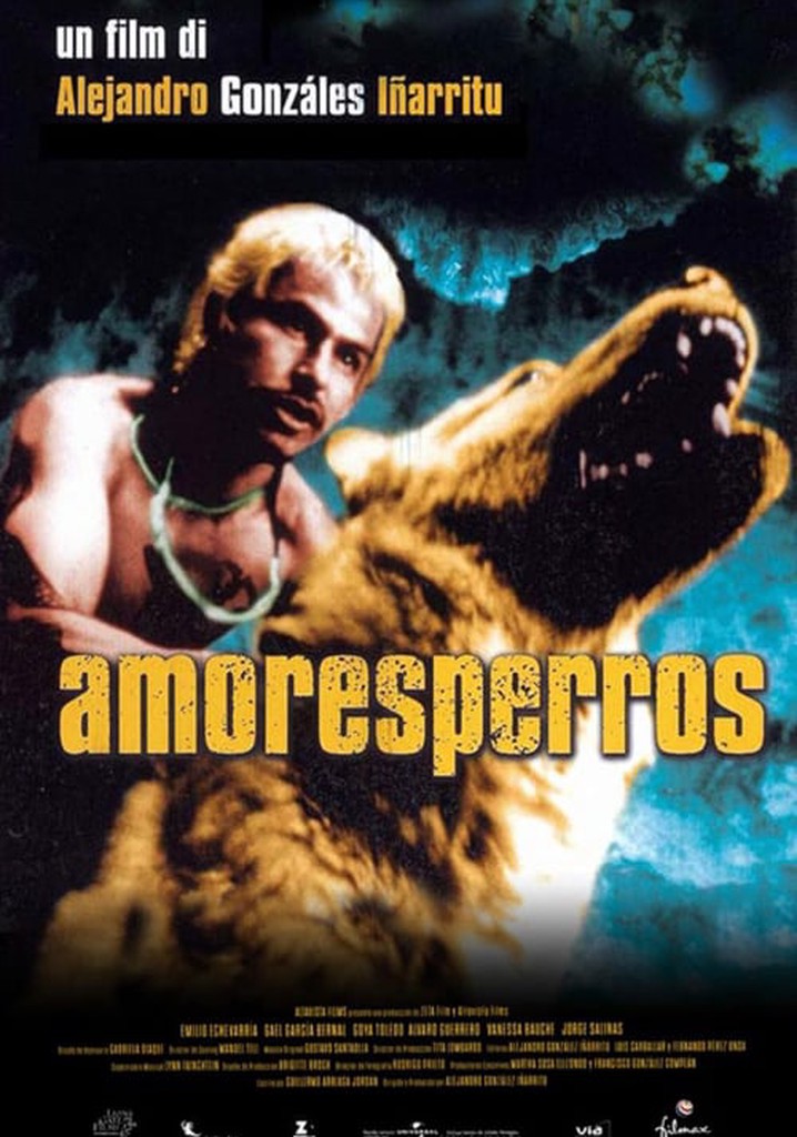 Amores Perros - film: guarda streaming online